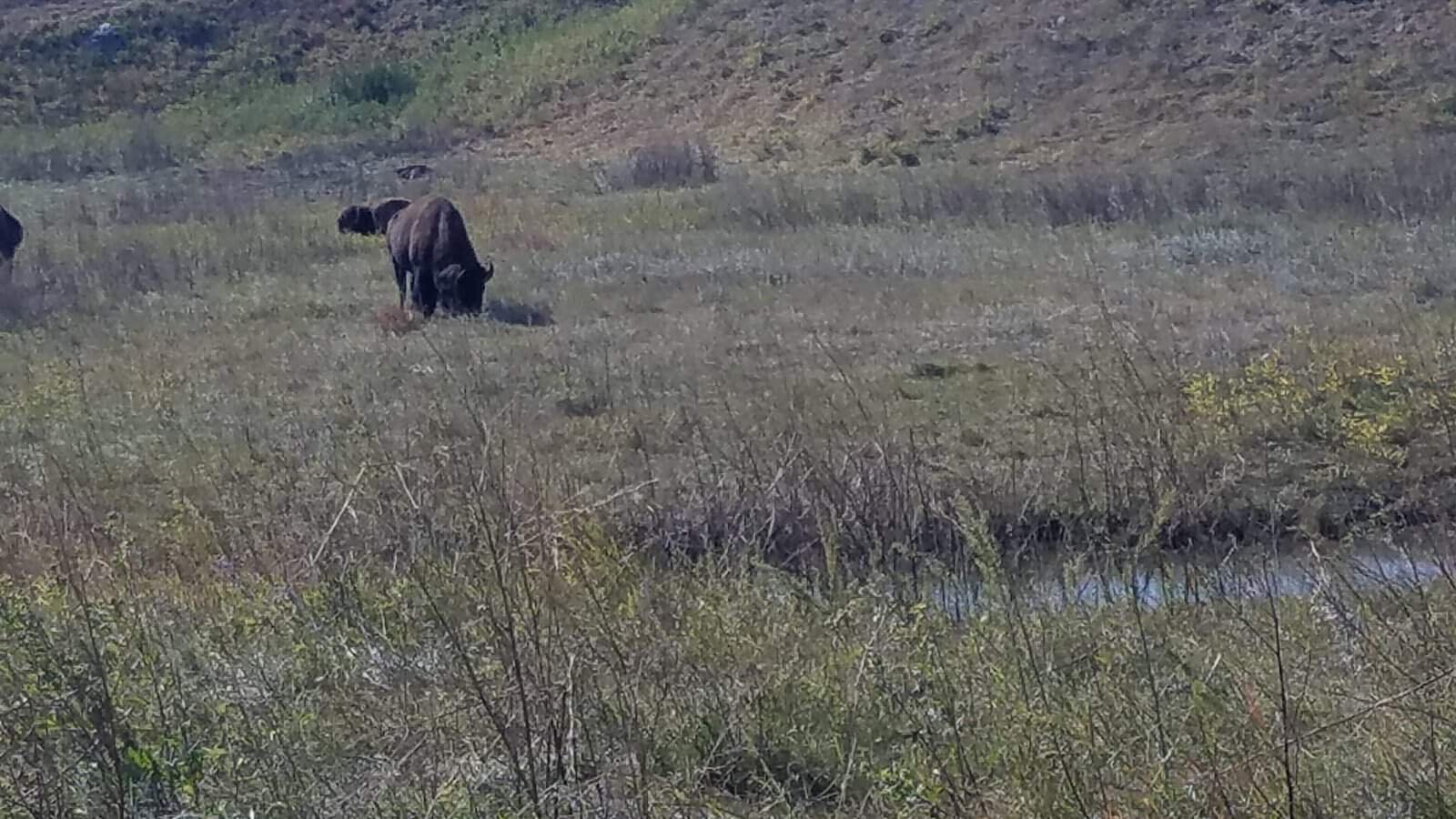 Fall Foliage in South Dakota | A Weekend Trip Itinerary