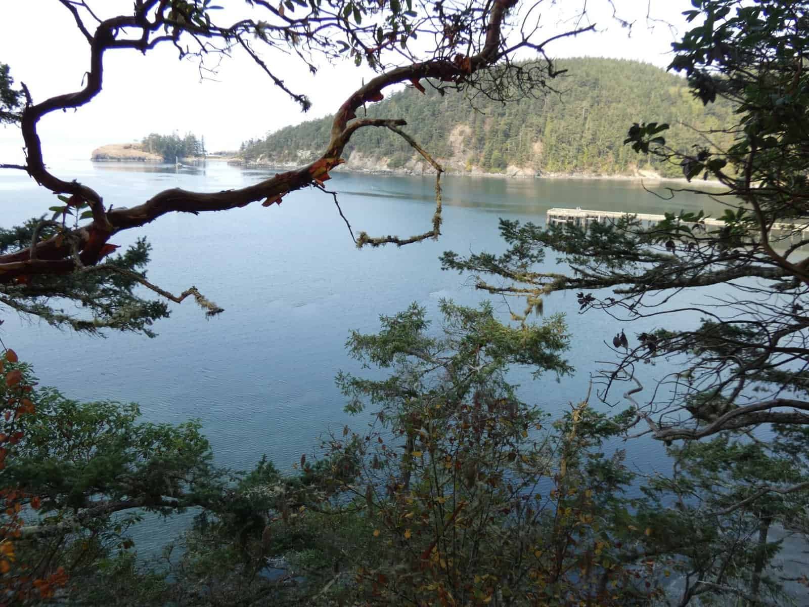 4 Amazing Days Island Hopping in Washington State | The Over Researched ...