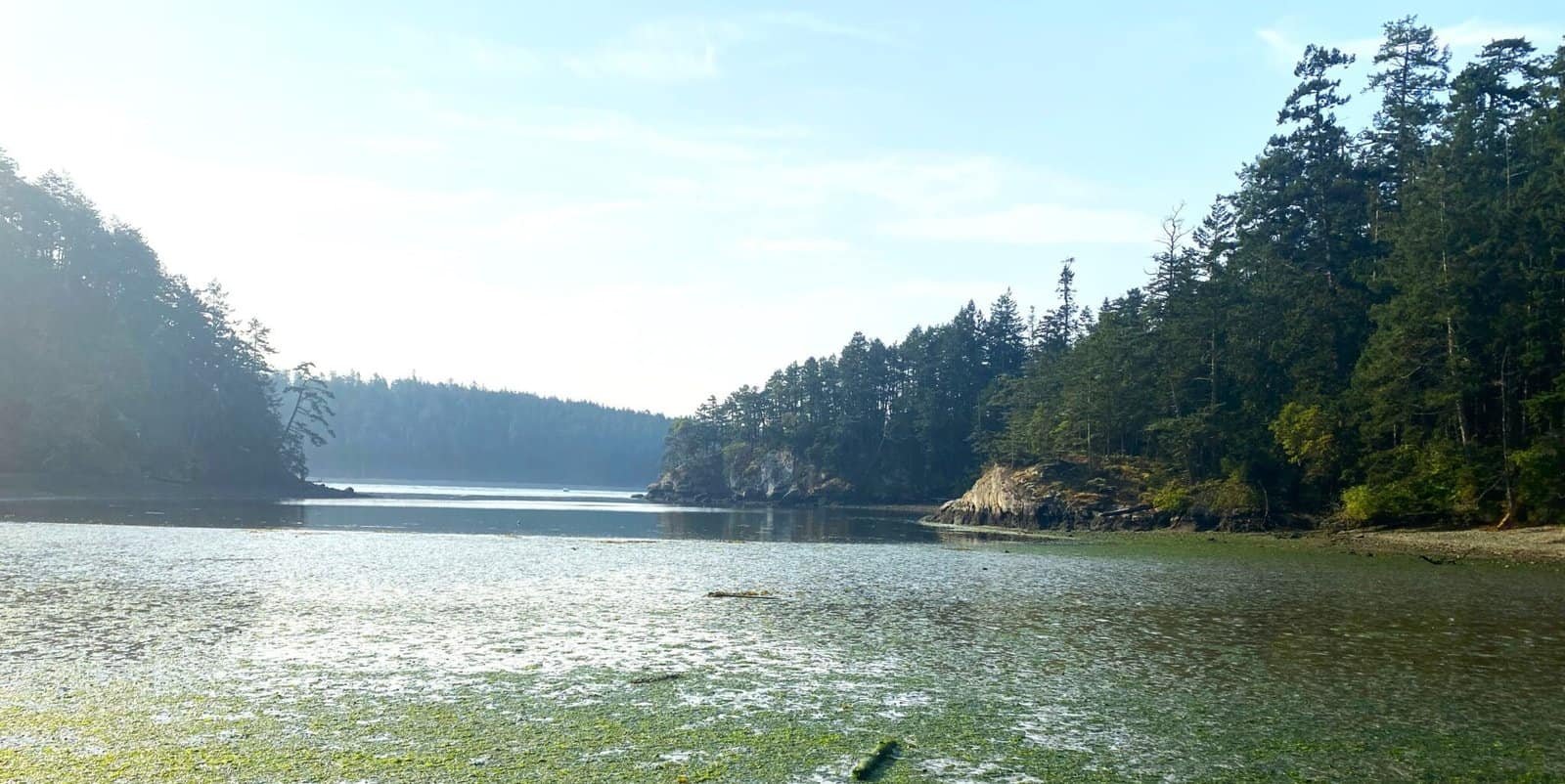 4 Amazing Days Island Hopping in Washington State | The Over Researched ...